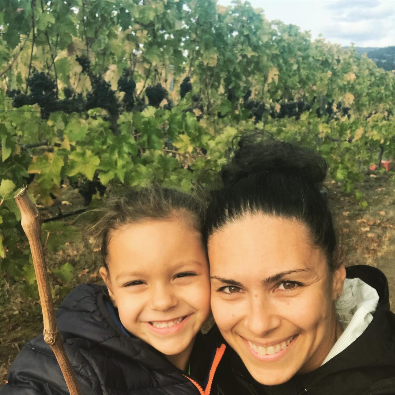D’Angelo Estate Winery | ..Naramata Bench Wines
